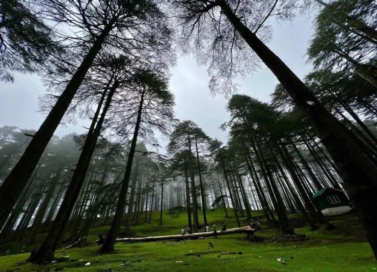 Patnitop Travel Guide: Best Time, Things To Do, Hotels & Snowfall ...