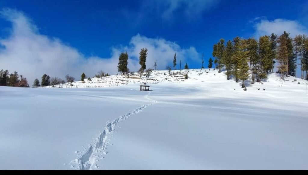 Skiing In Bhaderwah: A Complete Guide To Adventure, Snow Sports ...